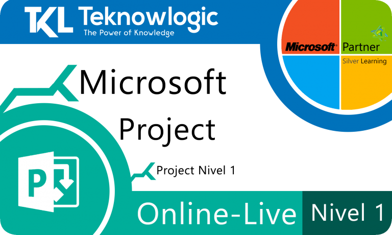 Microsoft Project Level 1
